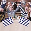 Amazon.com : 16 Pack Small Greece Flags on Stick - Mini Greek Grecian ...