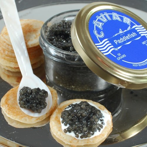 Amazon.com: American Paddlefish Caviar Gift Set - without spoon ...