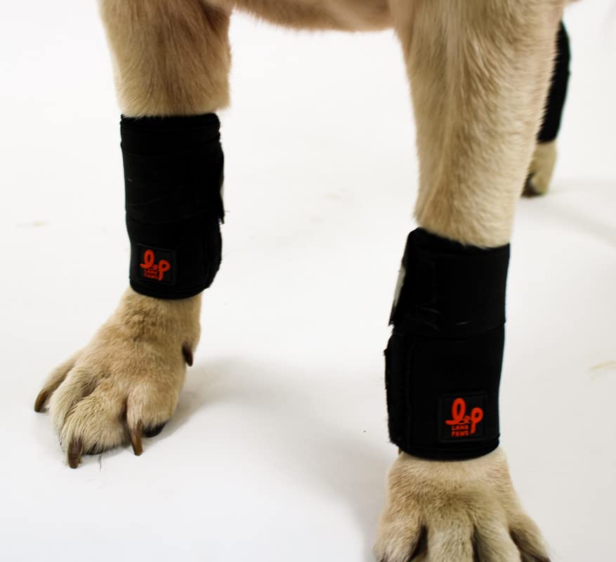 Lana Paws Dog Front Leg Splint Braces for Carpal/Wrist Support ...