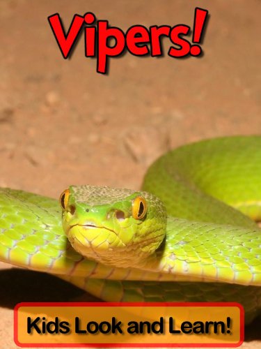 Vipers! Learn About Vipers and Enjoy Colorful Pictures - Look and Learn ...
