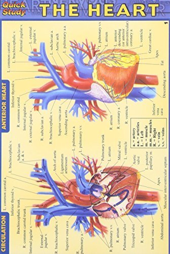 Heart (Quickstudy) by Inc. BarCharts (2003-07-07): Amazon.com: Books