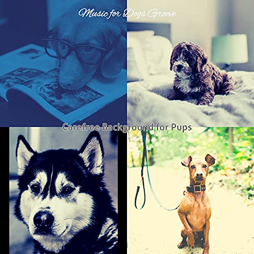 Carefree Background for Pups de Music for Dogs Groove en Amazon Music ...