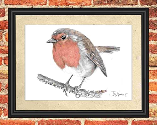 Robin Pencil Drawing - Original Bird Art Print - Handmade By ...