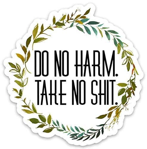 Amazon.com: Do No Harm Take No Shit Sticker, Vinyl Die Cut Decal ...