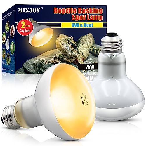 Top 10 Best Basking Bulb For Turtles : Reviews & Buying Guide - Katynel