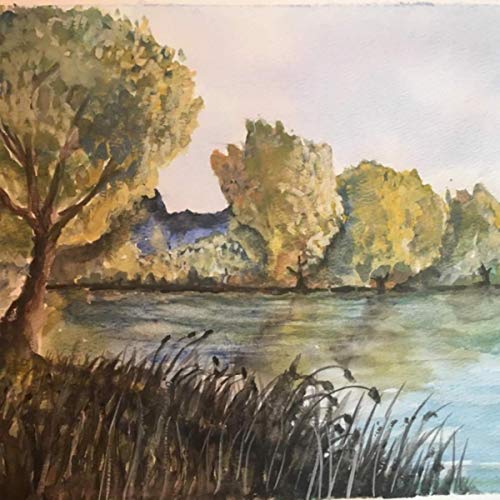 Amazon.com: Our Father : Sarah Wilcox: Digital Music