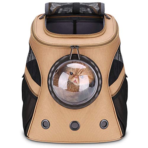 10 Best Cat Backpacks For Large Cats [2025]