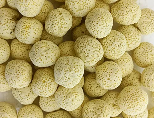 MR TRADERS Yellow Ceramic Ball Bio Porous Filter Media Biological ...