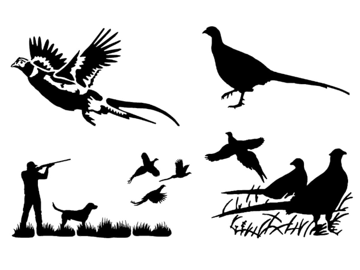 Pheasant Hunting Silhouettes 30+ Pheasant Hunting Silhouette Stock