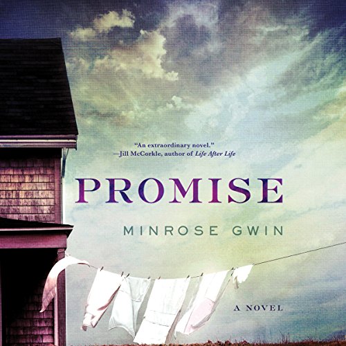 Amazon.com: Promise: A Novel (Audible Audio Edition): Minrose Gwin ...