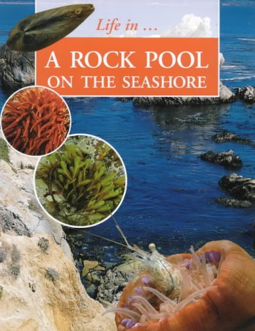 LIFE IN A ROCKPOOL ON SEASHORE : Amazon.co.uk: Books