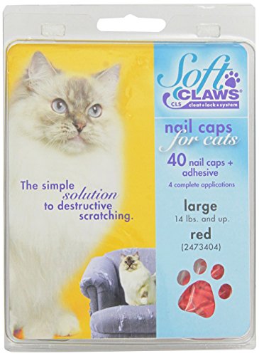 Soft Paws for Cats – The 15 best products compared - Wild Explained