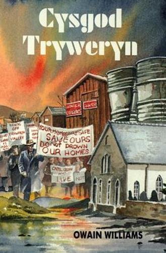 Cysgod Tryweryn: Amazon.co.uk: Williams, Owain, Wyn, Eirug ...
