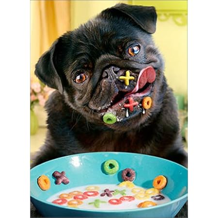Amazon.com : Dog Alphabet Cereal Funny Pug Birthday Card : Office Products