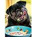 Amazon.com: Dog Alphabet Cereal Funny Pug Birthday Card : Office Products