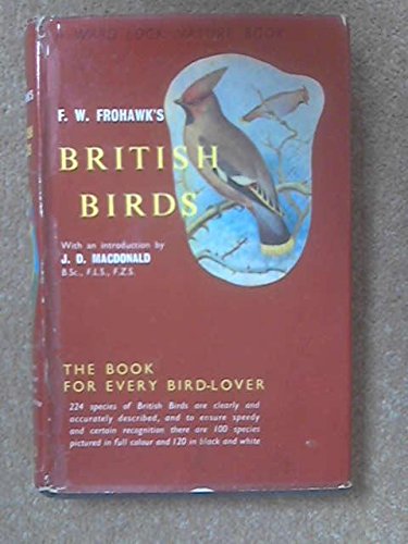 British Birds. Frohawk, F. W.: Amazon.co.uk: Books