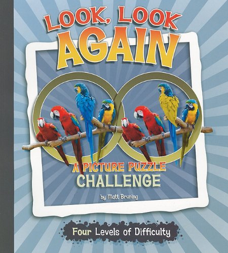 Look, Look Again: a Picture Puzzle Challenge (Look, Look Again ...