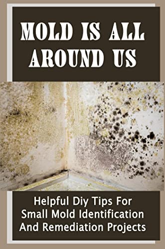 Mold Is All Around Us: Helpful Diy Tips For Small Mold Identification ...