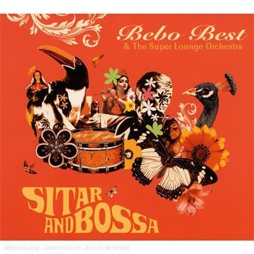 Amazon.com: Sitar & Bossa: CDs & Vinyl