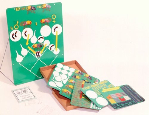 Amazon.com: National Teaching Aids T-603 Teaching Genetics : Toys & Games