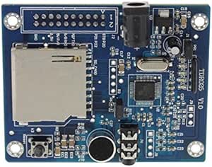 Arduino MP3 Module : Amazon.ca: Electronics