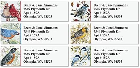 Textures Personalized Classic Return Address Labels - Set of 240 (4 ...