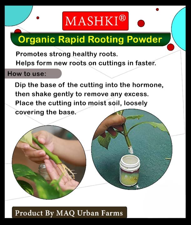 MASHKI Organic Rapid Rooting Hormone Powder Root Growth Booster Fast ...