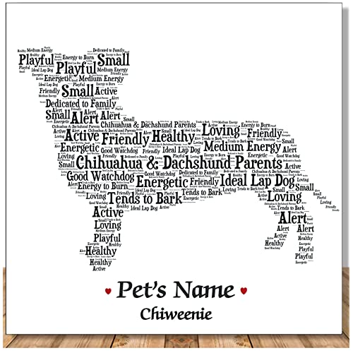 Adorable Chiweenie Pictures and Top 10 Must-Have Products for Your ...