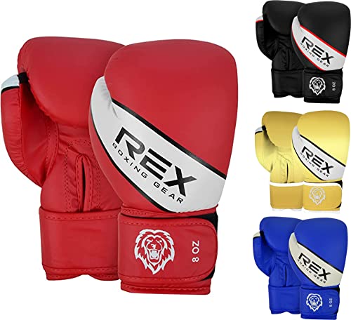 Find The Best 10 Oz Boxing Gloves Reviews & Comparison - Katynel
