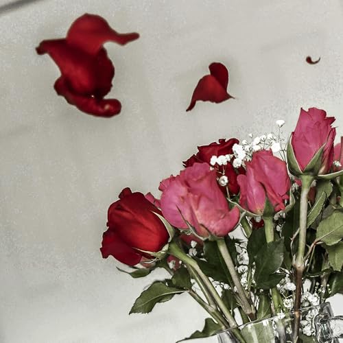 Play Static bloom by Lumi Ray on Amazon Music Unlimited