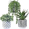 Amazon.com: Winlyn 3 Pcs Small Potted Succulents Plants Artificial Aloe ...