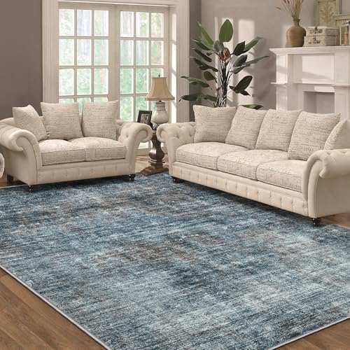 Amazon.com: 6x9 Area Rugs for Living Room: Soft Fluffy Large Washable ...