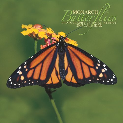Monarch Butterflies 2007 Calendar: Brian Kenney: 9781421616285: Amazon ...