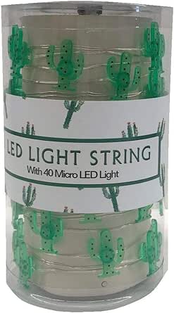Amazon.com: Cactus String Lights Battery Operated 40 Micro LED lights ...
