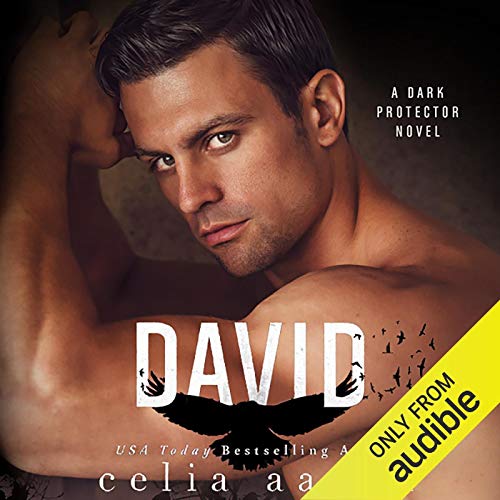 Amazon.com: David (Audible Audio Edition): Celia Aaron, Holly Chandler ...