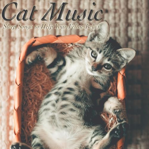 Amazon.com: Cat Music - Sleep Songs to Help Your Feline Relax ...