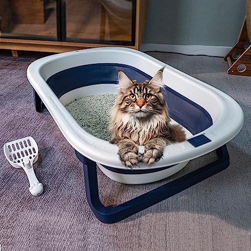 10 Best and Largest Litter Boxes for Cats: A Comprehensive Guide ...