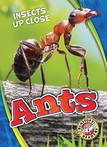 Ants (Insects Up Close): Patrick Perish: 9781626176577: Amazon.com: Books
