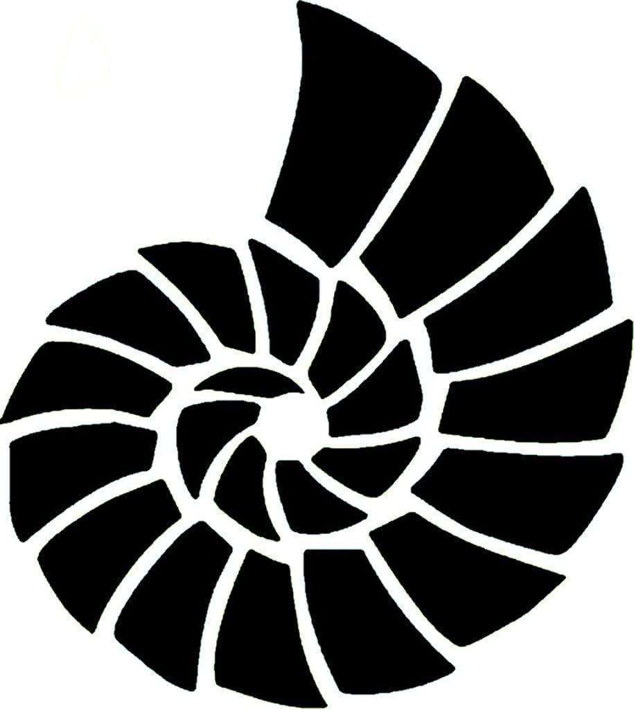 Amazon.com : Seashell Stencil Shells Beach Seashells Fabric Painting ...