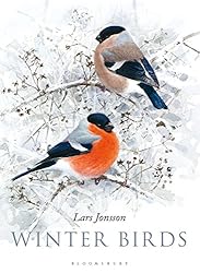 5 Easy and Enchanting Ways to Embrace Winter Nature Study