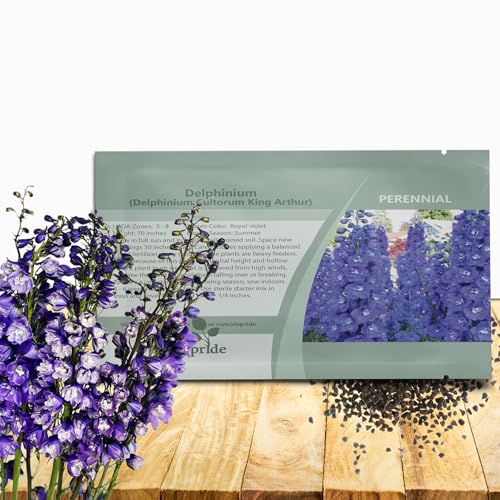 Best Delphinium Flower Seeds for a Stunning Garden Display - Totally ...