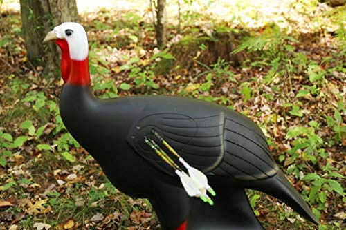 Shooter Field Logic 3D Archery Turkey Target, Black, One Size Sporting ...