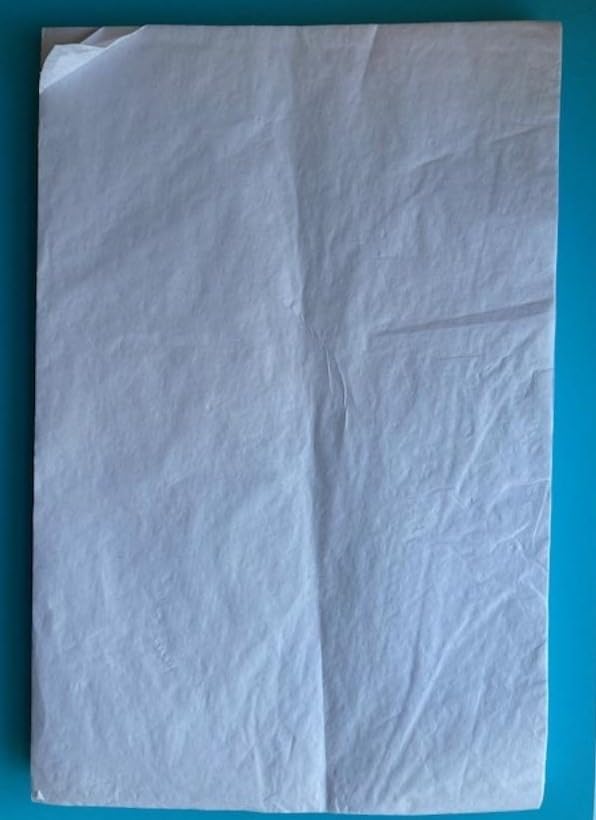 Amazon.com: RYKOMO 500 Sheets 10 x 15 Inch Acid Free Tissue Paper for ...