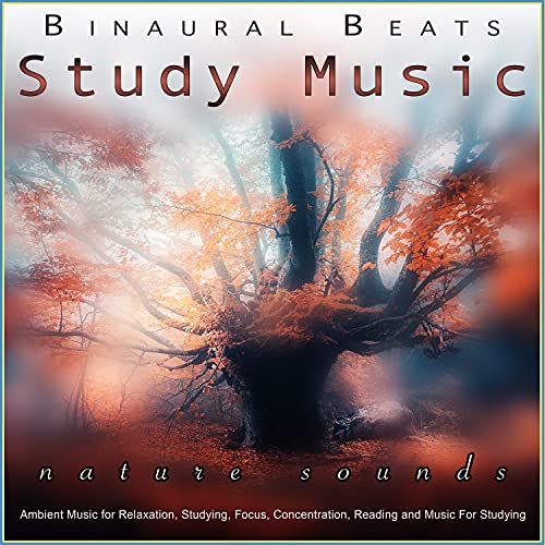 Amazon Music - Study Alpha WavesのBinaural Beats Study Music: Ambient ...