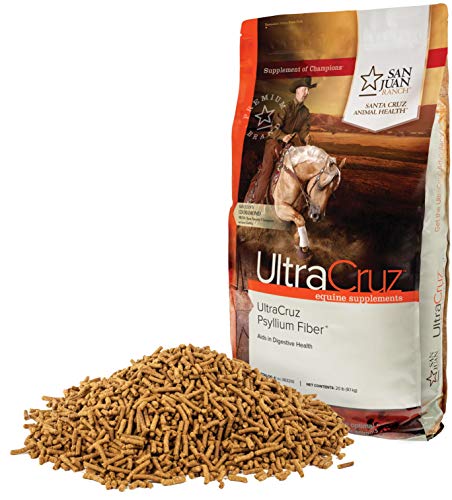 Amazon.com: UltraCruz Equine Psyllium Fiber Supplement for Horses, 20 ...