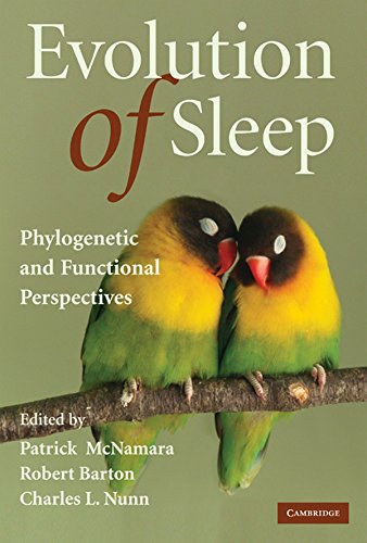 Evolution of sleep: Phylogenetic and functional perspectives Edition ...