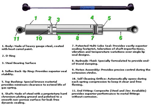 Amazon.com: GT Factory Struts : Automotive