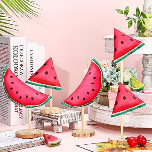 Amazon.com: Bucherry 5 Pcs Watermelon Decor Summer Watermelon Tiered ...