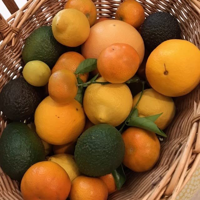Amazon.com : Organic Fruit Gift Basket from California Grower - "Season ...