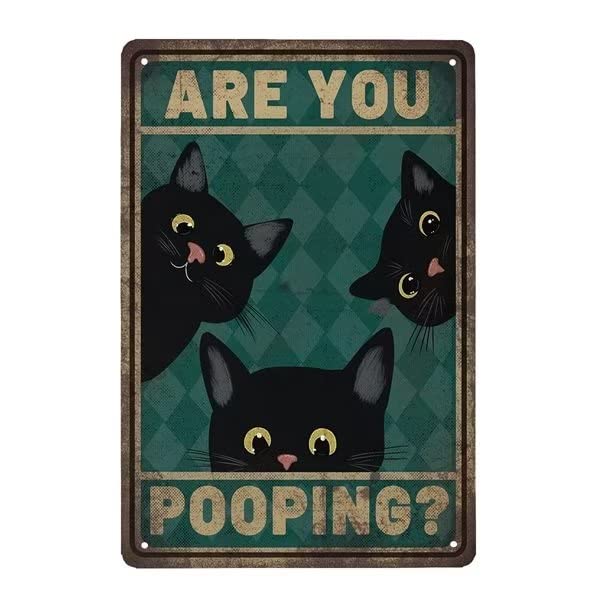 Amazon.com : Retro Tin Sign Vintage Black Cat Are You Pooping Signs ...